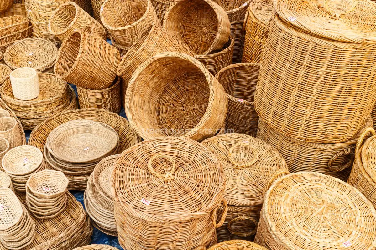 What Is Bamboo Used For? Exploring 10 Sustainable Applications