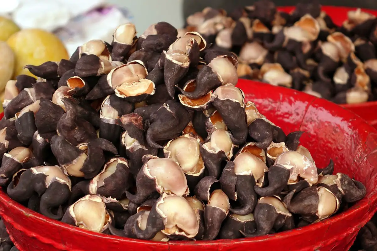 Where Does Water Chestnuts Grow: Cultivation, Nutrition & Culinary Uses