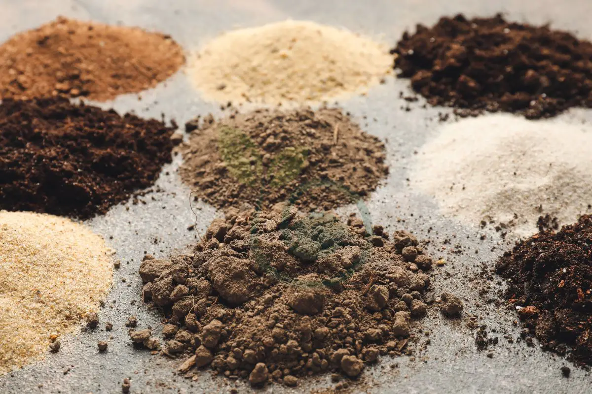 Best Fertilizer For Seeding Grass: A Comprehensive Guide