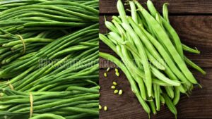 How To Plant And Care For Green Beans: A Complete Guide